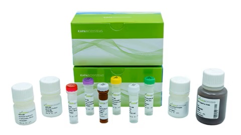 KAPA RNA EvoPrep Kit 発売開始のご案内｜日本ジェネティクス株式会社 | 研究用消耗品・試薬・機器を取り扱う日本 ...